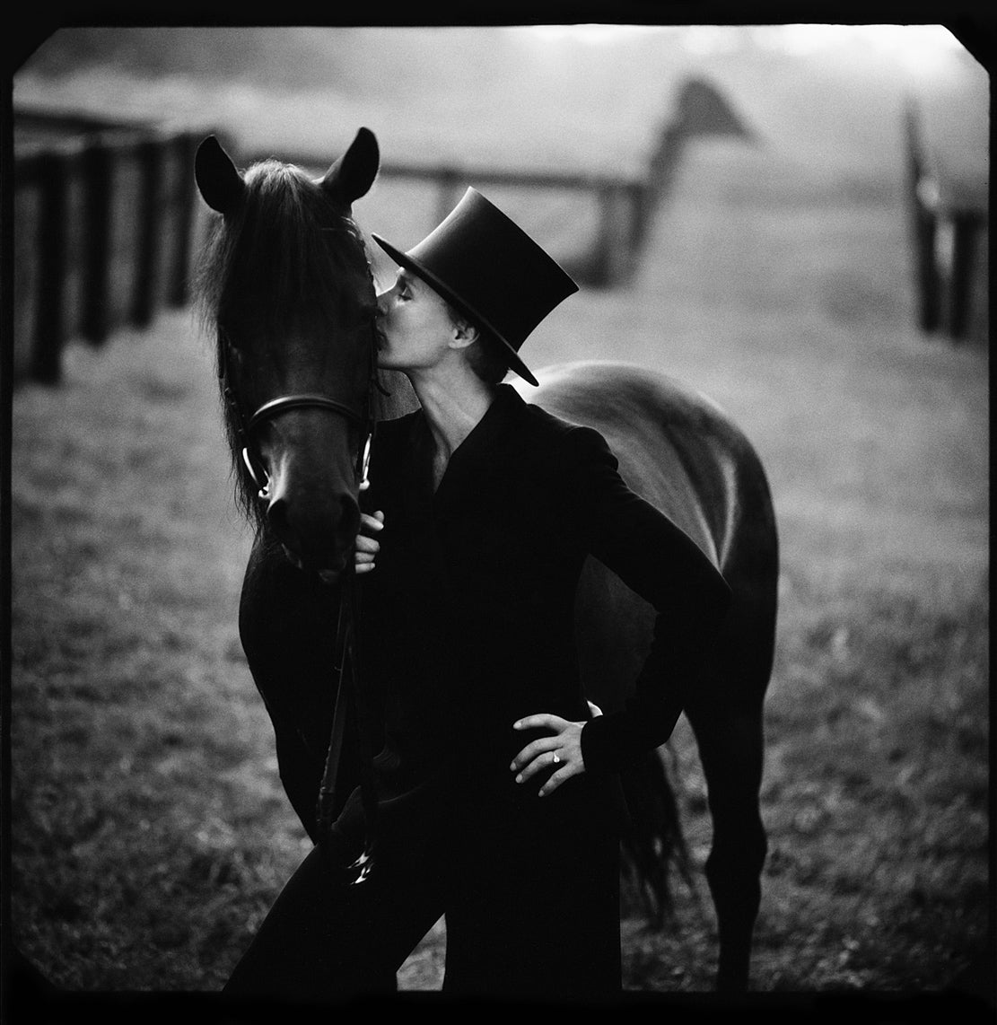 Timothy White – Art Solutions