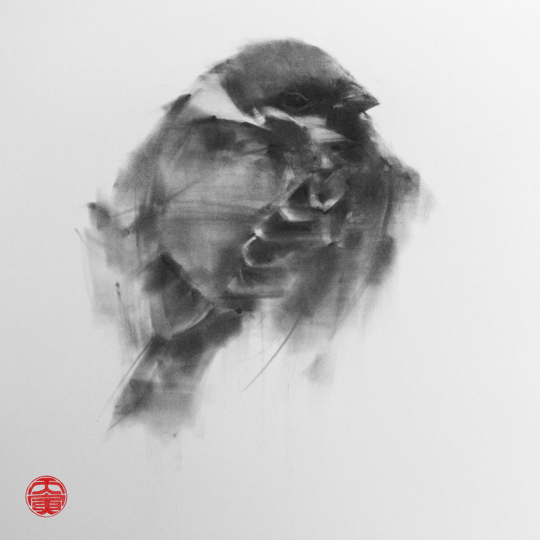 Tim Wang – Art Solutions